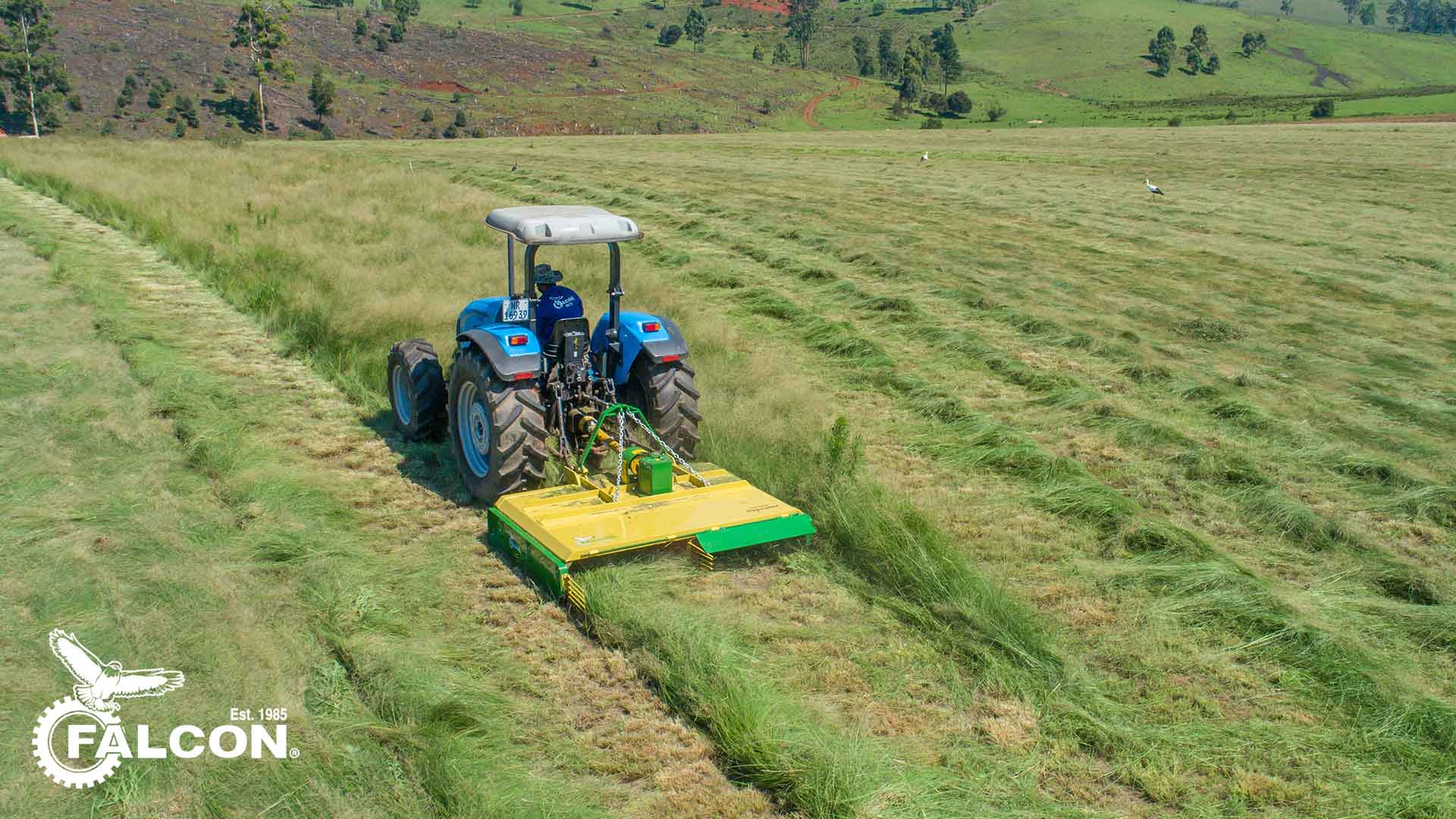 Falcon | Haymaker® - Intermediate