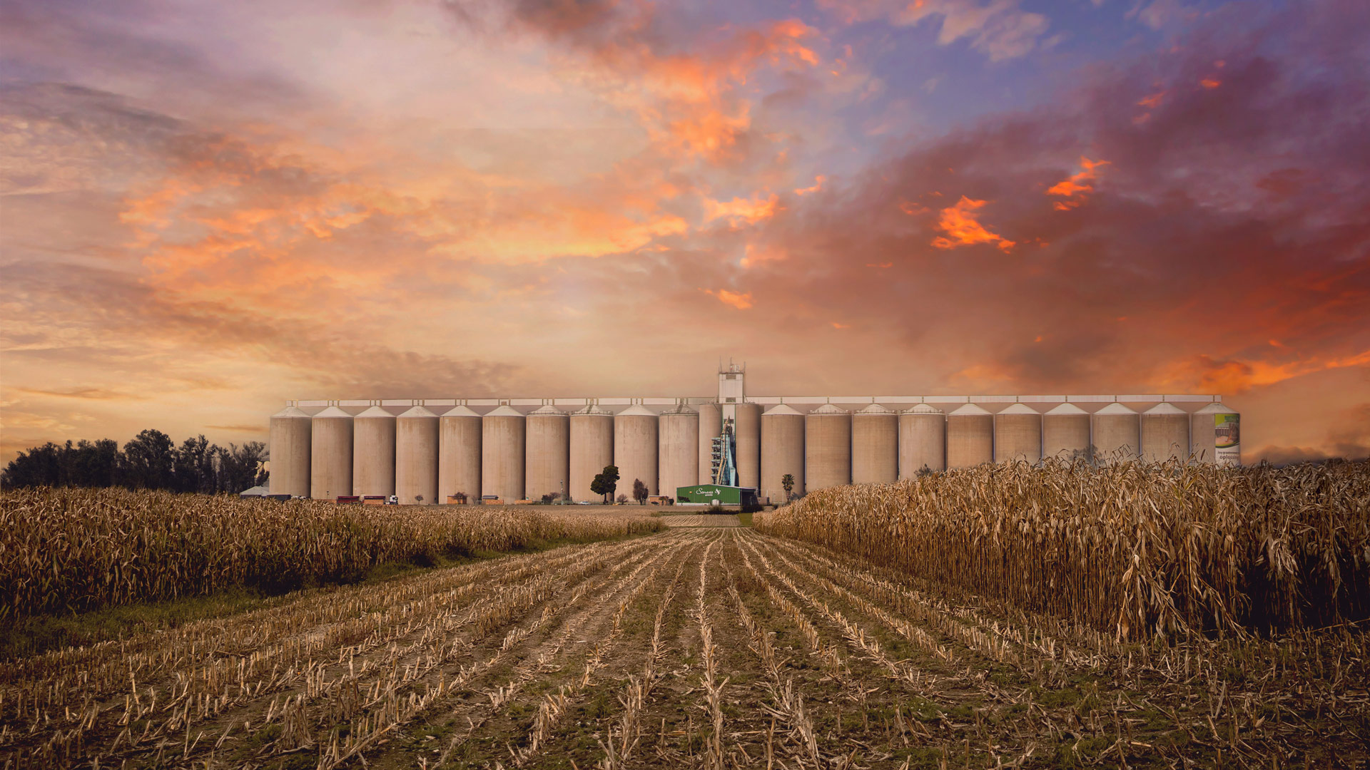 Senwes | From Farm Gate to Mill Door